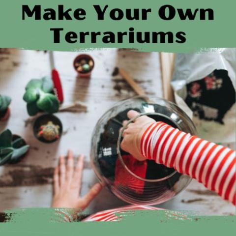 Make Your Own Terrariums | Paul Pratt Memorial Library